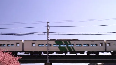 Famous JR Odoriko train running over bri... | Stock Video | Pond5
