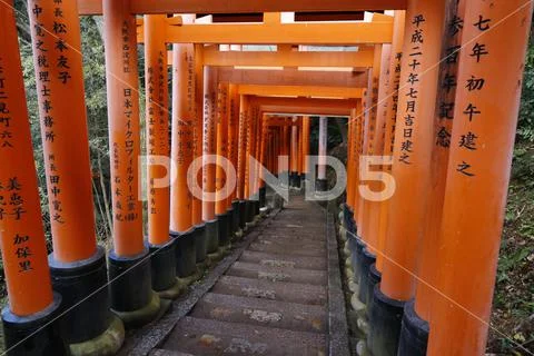 Famous torii gates on the path to Fushimi Inari Taisha shrine on Mount ...
