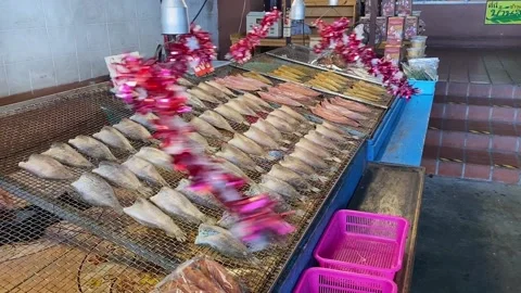 Fish Blowing Stock Videos – Royalty-Free HD & 4K Videos | Pond5