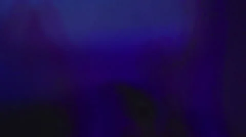 Clapping Dance Stock Videos – Royalty-Free HD & 4K Videos | Pond5