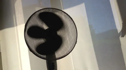 Hair Wind Fan Stock Videos – Royalty-Free HD & 4K Videos | Pond5
