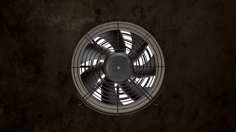 Curve Fanz Video Stock Video Footage | Royalty Free Curve Fanz Video ...