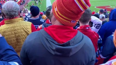 Nfl Football Crowd Stock Videos – Royalty-Free HD & 4K Videos