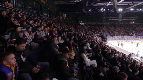 Ice Hockey Fans Stock Video Footage | Royalty Free Ice Hockey Fans ...