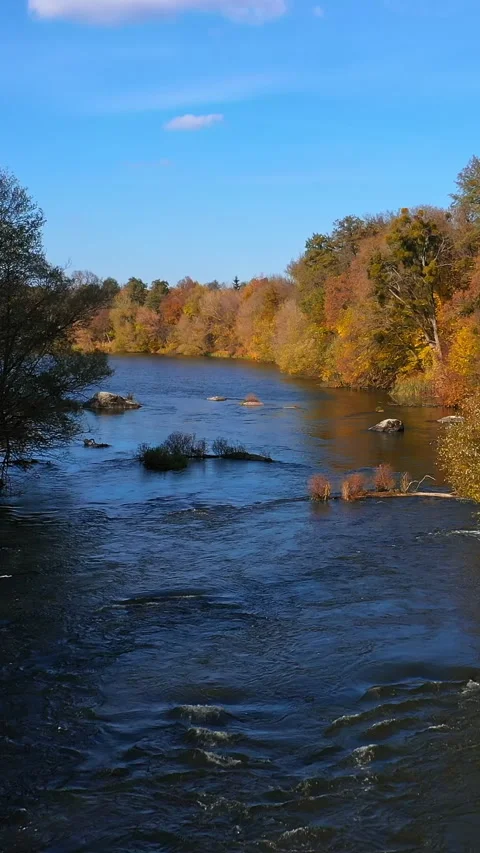 Among Picture Stock Videos – Royalty-Free HD & 4K Videos | Pond5