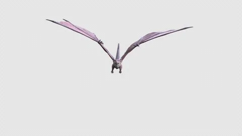 Fantasy Dragon Fly Animation Loop with A... | Stock Video | Pond5