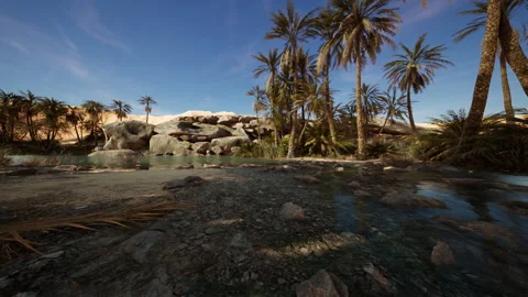 Fantasy pond oasis in a palm forest | Stock Video | Pond5