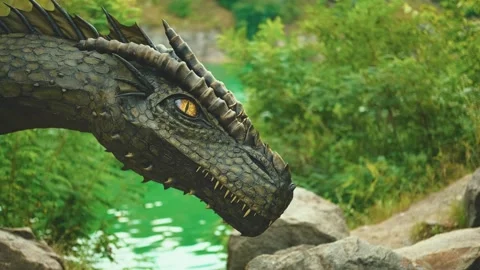 Fantasy portrait real dragon head close-... | Stock Video | Pond5