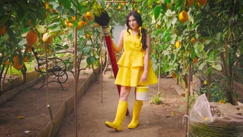 Video Creator K Stock Videos – Royalty-Free HD & 4K Videos | Pond5