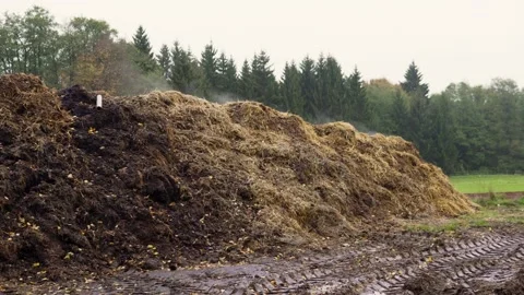 Farm animal poop being burned in a field... | Stock Video | Pond5