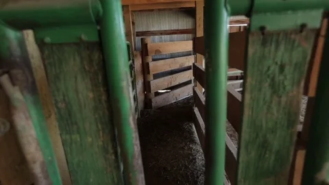 Farm animal stable gate | Stock Video | Pond5