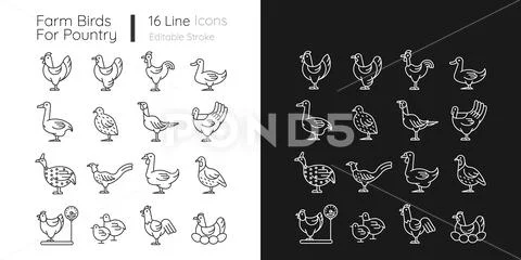 Farm birds for poultry linear icons set for dark and light mode ...