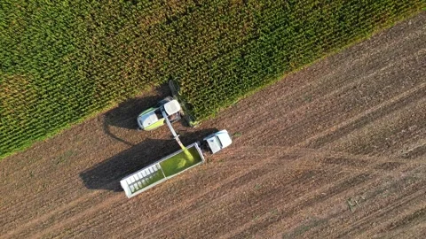 Farm combine and semi truck harvesting c... | Stock Video | Pond5