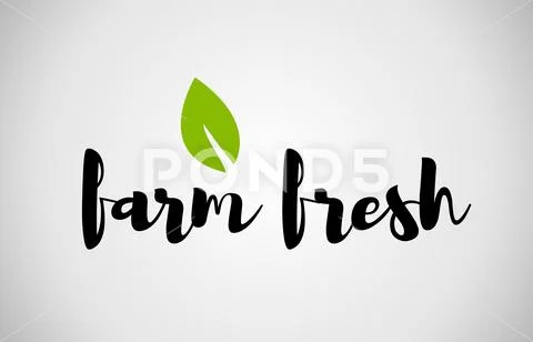 Farm fresh green leaf handwritten text white background: Graphic #77541165