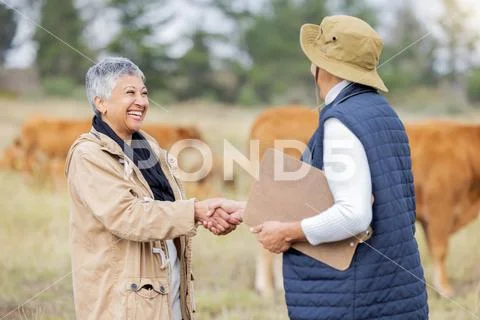 Farm, handshake and teamwork with a woman in agriculture saying thank ...