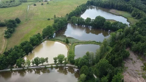 Farm ponds used for fish farming. Bird h... | Stock Video | Pond5