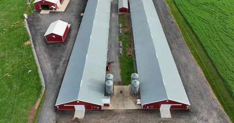 Farm rural chicken house barns for poult... | Stock Video | Pond5