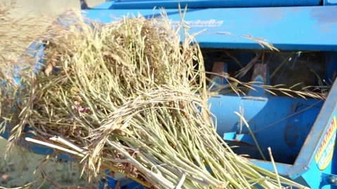 Macs Farm Stock Videos – Royalty-Free HD & 4K Videos | Pond5