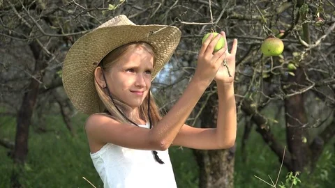 Tasteof Country Stock Videos – Royalty-Free HD & 4K Videos