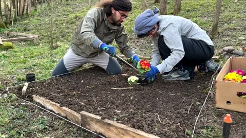 a farmer couple with curly hair planting... | Stock Video | Pond5