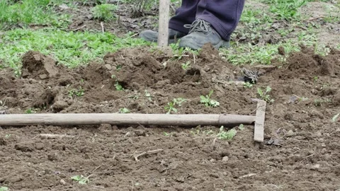farmer digging with a shovel in a spring... | Stock Video | Pond5