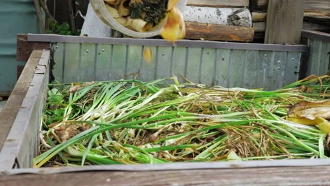 Organic Waste Stock Video Footage | Royalty Free Organic Waste Videos ...
