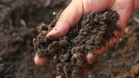 Farmer hand testing organic soil by pour... | Stock Video | Pond5