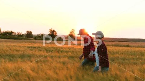 Photograph: Farmer parents hold son hands while running through wheat ...