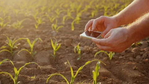 Young Pictures O Stock Videos – Royalty-Free HD & 4K Videos