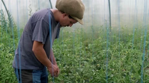 Producing Produce Stock Videos – Royalty-Free HD & 4K Videos