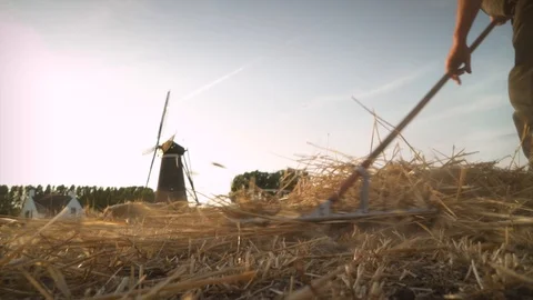 Fashion_Land Stock Videos – Royalty-Free HD & 4K Videos