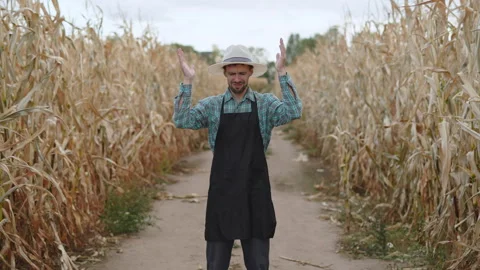 Farmer shows to dry field of corn with h... | Stock Video | Pond5