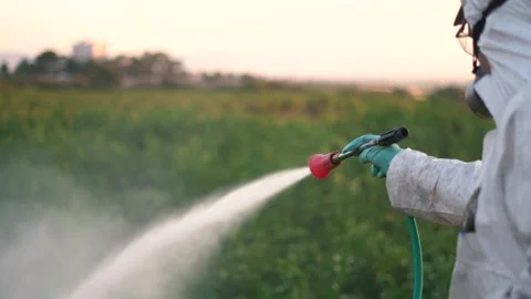 Farmer sprays insecticide on lemon trees | Stock Video | Pond5