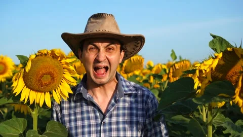 Farmer standing and screaming in sunflow... | Stock Video | Pond5