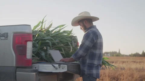 Farmer Taking Inventory of Corn on Lapto... | Stock Video | Pond5