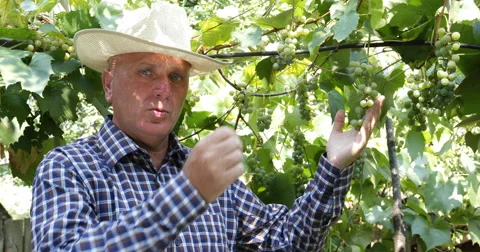 Crop Activity Stock Footage ~ Royalty Free Stock Videos | Pond5