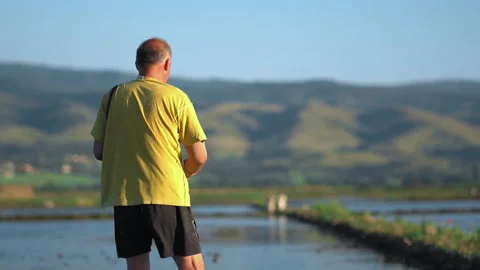 Farmer throw rice seedling at paddy agri... | Stock Video | Pond5