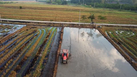 Farmer in tractor preparing land for ric... | Stock Video | Pond5