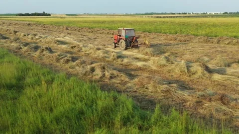 Farmer in tractor using a rotary rake to... | Stock Video | Pond5