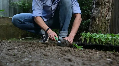Farmer using garden shovel digs the soil... | Stock Video | Pond5