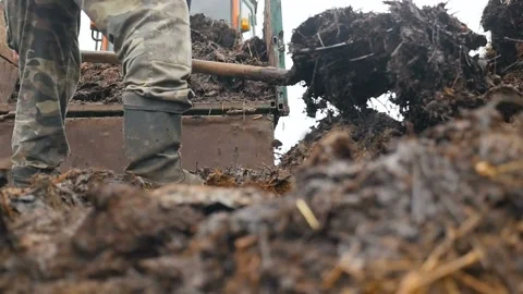 Smelly Feet Stock Video Footage | Royalty Free Smelly Feet Videos | Pond5