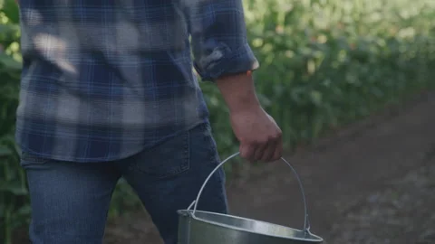 A Farmers Hand Carrying a Metal Bucket a... | Stock Video | Pond5