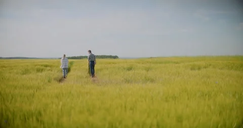 Farmers Talking In Field Discussion Exam... | Stock Video | Pond5