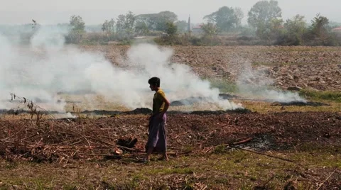 Fumigation Stock Footage ~ Royalty Free Stock Videos | Pond5