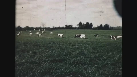 Generate More Stock Videos – Royalty-Free HD & 4K Videos | Pond5