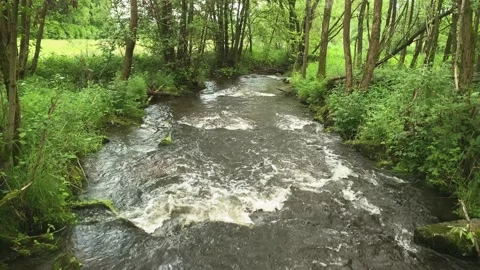 Fast and clear river flowing in a forest... | Stock Video | Pond5