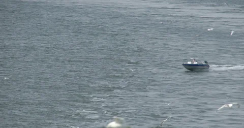 Q3 Sess Stock Videos – Royalty-Free HD & 4K Videos