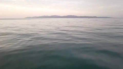 Mexican Flys Video Stock Videos – Royalty-Free HD & 4K Videos