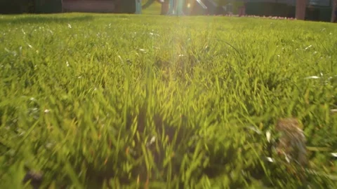 Fast Runback through Green Grass on a La... | Stock Video | Pond5