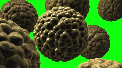 Cell Multiplication Stock Footage ~ Royalty Free Stock Videos | Pond5